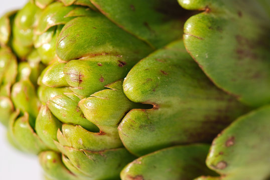 Alcaucil Images – Browse 114 Stock Photos, Vectors, and Video | Adobe Stock