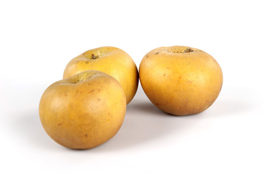 Renette 이미지 – 찾아보기 222 스톡 사진, 벡터 및 비디오 | Adobe Stock