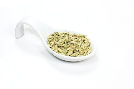 「Fenouil」の画像 - 1,284 件の Stock 写真、ベクターおよびビデオ | Adobe Stock