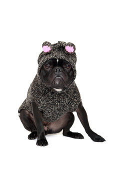 Froston Images – Browse 41 Stock Photos, Vectors, and Video | Adobe Stock