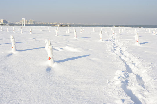 "Snowy Beach" Images – Browse 323 Stock Photos, Vectors, and Video ...
