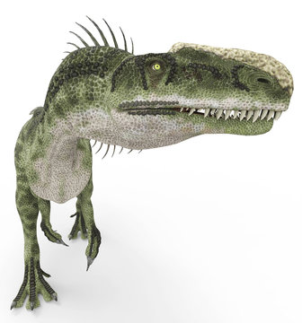 รูปภาพTetanuran – เลือกดูภาพถ่ายสต็อก เวกเตอร์ และวิดีโอ86 | Adobe Stock