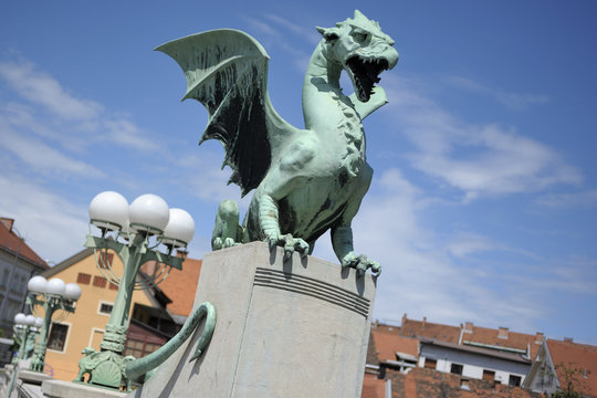 Ferocius Images – Browse 84 Stock Photos, Vectors, and Video | Adobe Stock