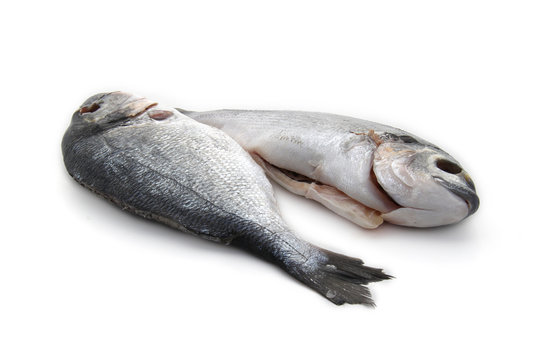 "Dorade Box"-Bilder: Stock-Fotos & -Videos. | Adobe Stock