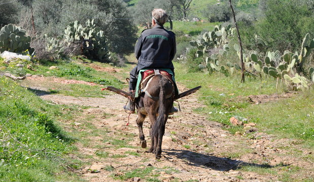 รูปภาพBourricot – เลือกดูภาพถ่ายสต็อก เวกเตอร์ และวิดีโอ87 | Adobe Stock