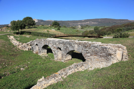 「Baleo」の写真素材 | 58件の無料イラスト画像 | Adobe Stock