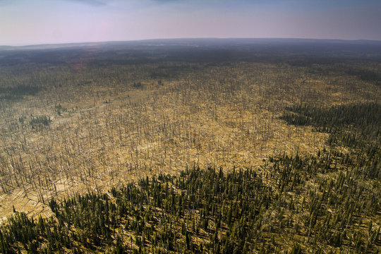 Areale Images – Browse 35 Stock Photos, Vectors, and Video | Adobe Stock