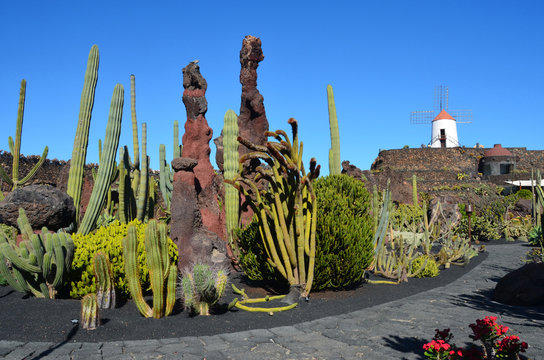 รูปภาพPlanze – เลือกดูภาพถ่ายสต็อก เวกเตอร์ และวิดีโอ1,579 | Adobe Stock