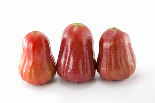 Jamalac bilder – Bläddra bland 2,310 stockfoton, vektorer och videor ...