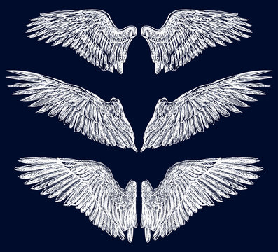 Grunge Angel Wings Images – Browse 167 Stock Photos, Vectors, and Video ...