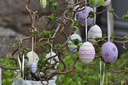 Osterstrauch bilder – Bläddra bland 820 stockfoton, vektorer och videor ...