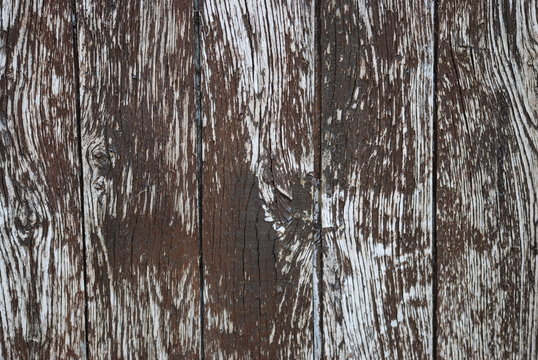 Dfsfds Images – Browse 2 Stock Photos, Vectors, and Video | Adobe Stock