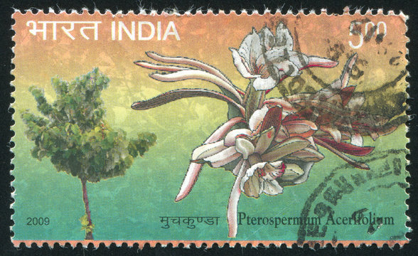 รูปภาพKarnikara – เลือกดูภาพถ่ายสต็อก เวกเตอร์ และวิดีโอ4 | Adobe Stock