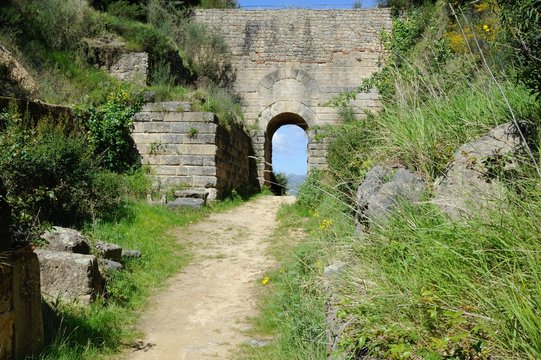 「Elea」の写真素材 | 131件の無料イラスト画像 | Adobe Stock