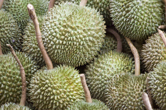 รูปภาพStinkfrucht – เลือกดูภาพถ่ายสต็อก เวกเตอร์ และวิดีโอ119 | Adobe Stock