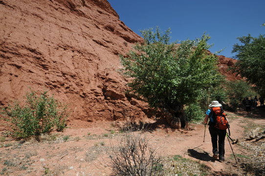 Muletier Images – Browse 60 Stock Photos, Vectors, and Video | Adobe Stock