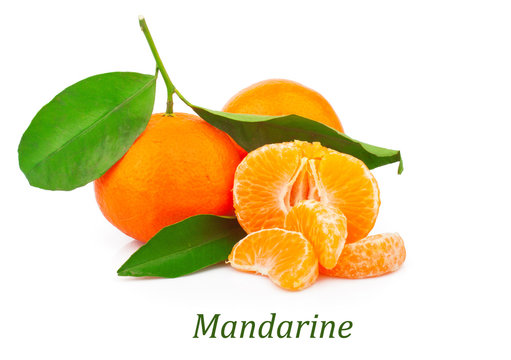 tinnko 写真、画像、アセット | Adobe Stock