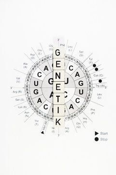 Code-Sonne - Images et vidéos libres de droits | Adobe Stock