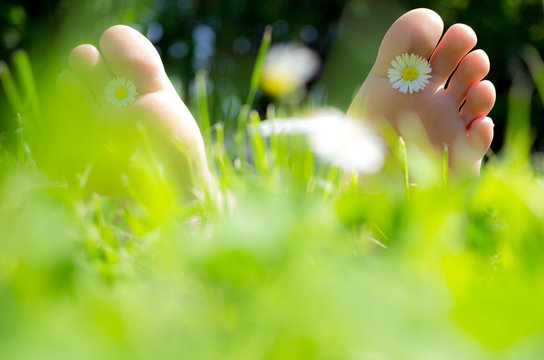 Pasue Bilder – Durchsuchen 30 Archivfotos, Vektorgrafiken und Videos ...