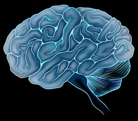 Tabla de tumor cerebral y médico | Vector Gratis