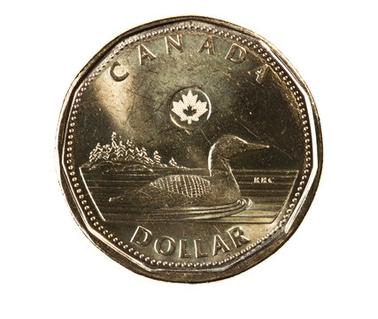 รูปภาพLoonie – เลือกดูภาพถ่ายสต็อก เวกเตอร์ และวิดีโอ369 | Adobe Stock