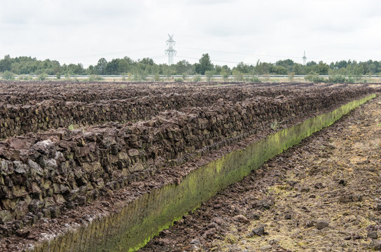 รูปภาพTorfabbau – เลือกดูภาพถ่ายสต็อก เวกเตอร์ และวิดีโอ1,279 | Adobe Stock