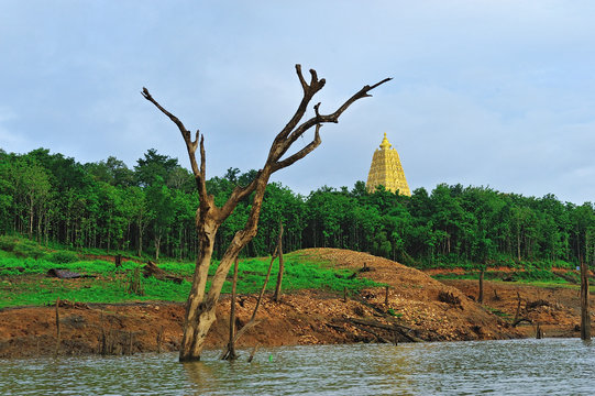 「Kanc」の画像 - 205 件の Stock 写真、ベクターおよびビデオ | Adobe Stock