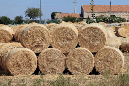 529 MIGLIORI IMMAGINI, FOTO STOCK E VETTORIALI PER Rotoballe | Adobe Stock