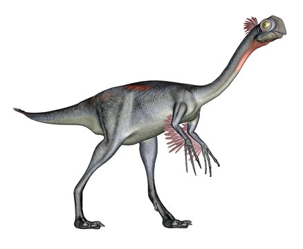 Oviraptorosaurs Images – Browse 102 Stock Photos, Vectors, and Video ...