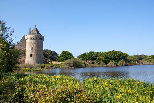 รูปภาพMachicoulis – เลือกดูภาพถ่ายสต็อก เวกเตอร์ และวิดีโอ2,329 | Adobe ...