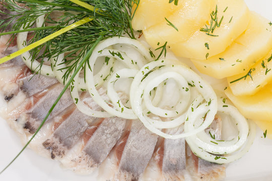 Matjeshering Bilder – Durchsuchen 3,221 Archivfotos, Vektorgrafiken und ...