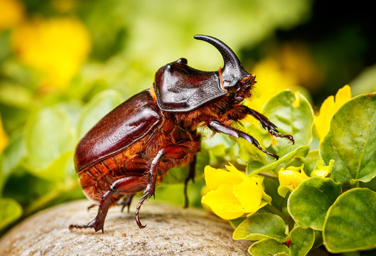 「Kerf」の画像 - 2,492 件の Stock 写真、ベクターおよびビデオ | Adobe Stock