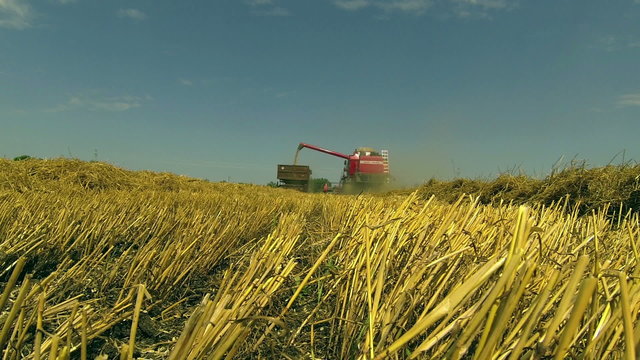 Agronomy Video Footage – Browse 99,968 HD Stock Video and Footage ...