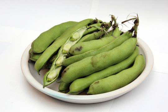 Favabohne Images – Parcourir 82 le catalogue de photos, vecteurs et ...