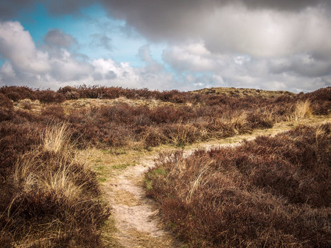 Sandweg bilder – Bläddra bland 1,099 stockfoton, vektorer och videor ...