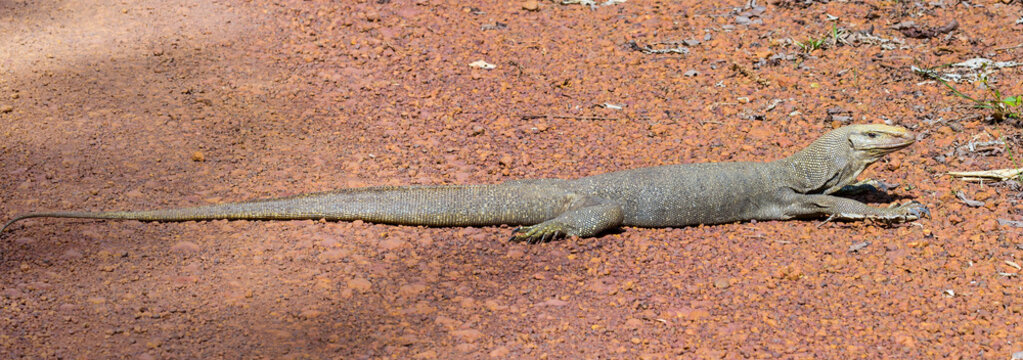 Cliam Images – Browse 61 Stock Photos, Vectors, and Video | Adobe Stock