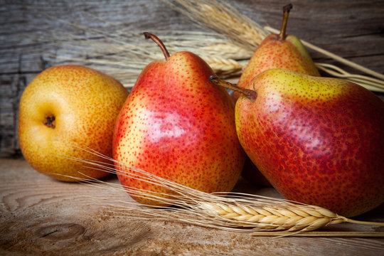 รูปภาพPere – เลือกดูภาพถ่ายสต็อก เวกเตอร์ และวิดีโอ9,935 | Adobe Stock