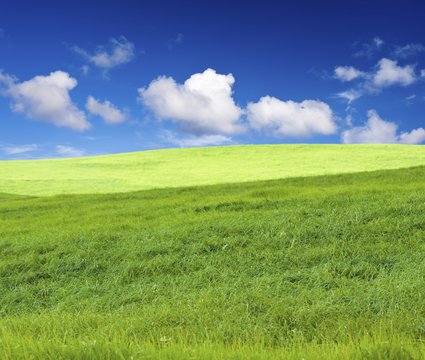 1,495,913 BEST Pastures IMAGES, STOCK PHOTOS & VECTORS | Adobe Stock