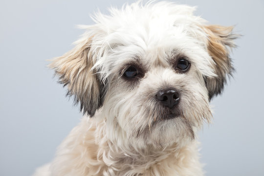 Boomer Bilder – Durchsuchen 14,600 Archivfotos, Vektorgrafiken und ...