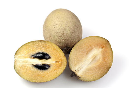 Sapoche Images – Browse 40 Stock Photos, Vectors, and Video | Adobe Stock