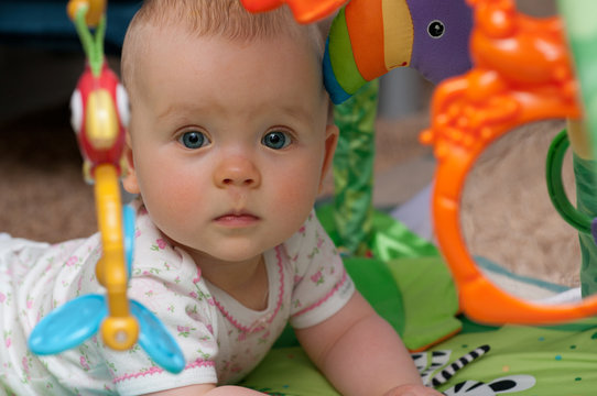 Kindchenschema bilder – Bläddra bland 579 stockfoton, vektorer och ...