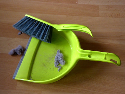 Kehrblech 이미지 – 찾아보기 349 스톡 사진, 벡터 및 비디오 | Adobe Stock