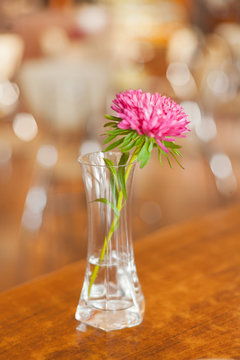 Taple Bilder – Durchsuchen 203 Archivfotos, Vektorgrafiken und Videos ...