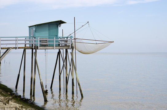 Carrelet - Images et vidéos libres de droits | Adobe Stock