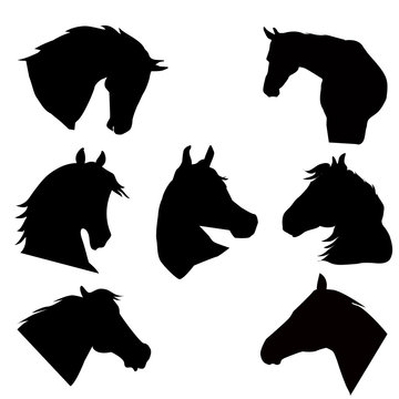 Horse Head Silhouette Patterns
