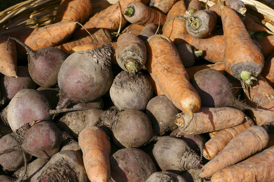 Baraku bilder – Bläddra bland 331 stockfoton, vektorer och videor ...