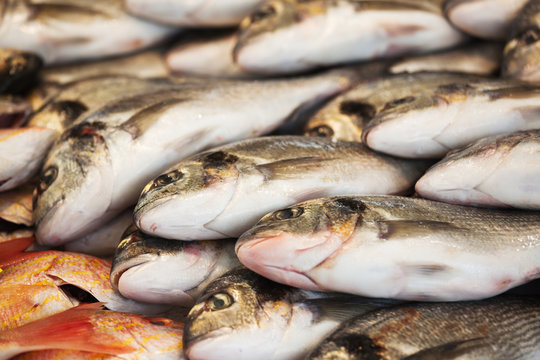 รูปภาพMeeresfisch – เลือกดูภาพถ่ายสต็อก เวกเตอร์ และวิดีโอ1,676 | Adobe ...