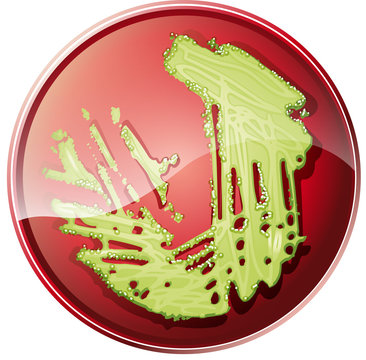 Mrsa-Keim-Bilder: Stock-Fotos & -Videos. | Adobe Stock