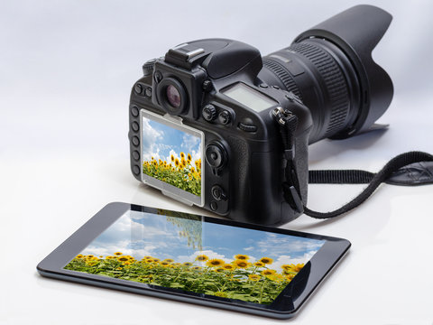 "Still Camera"-Bilder: Stock-Fotos & -Videos. | Adobe Stock