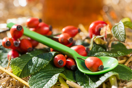 Hiffen bilder – Bläddra bland 326 stockfoton, vektorer och videor ...